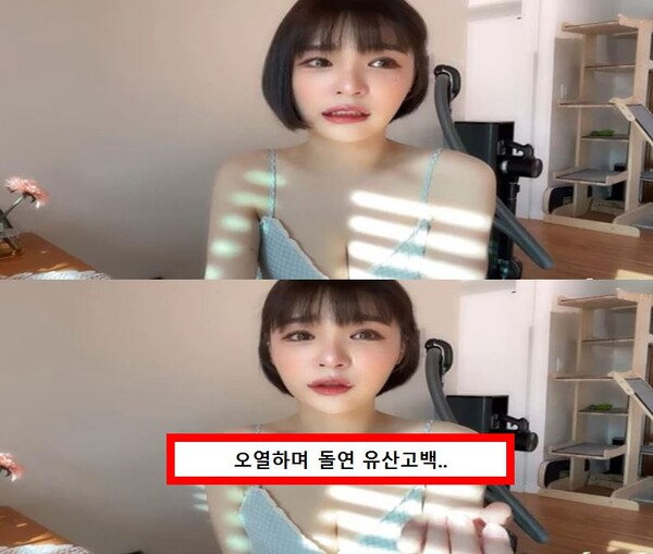 임신으로 방송 은퇴했던 유명 BJ 근황