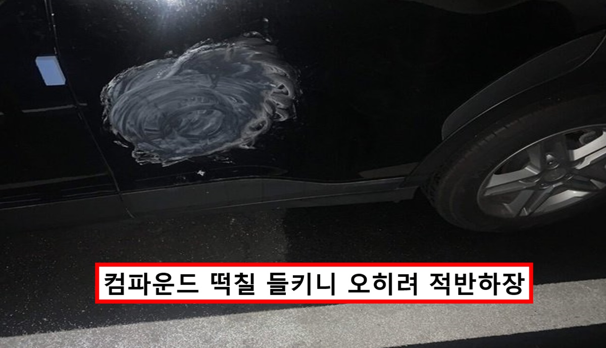 정말 혁신적인 또라이 주차된 차 긁고 주인 몰래 컴파운드 떡칠한 가해 차주 모두 분노했다